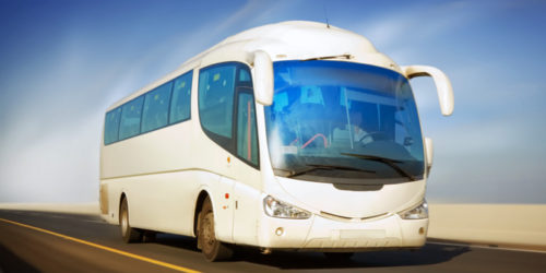 Moltec International