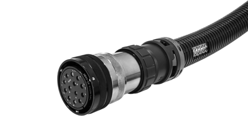 Moltec International